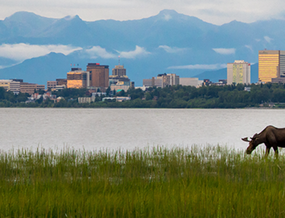 Auto Transport Options - Royal Alaskan Movers